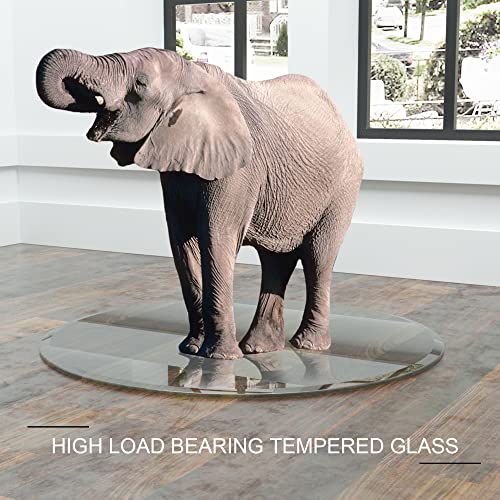 Round Tempered Glass Table Top Clear Glass Table Top (40 inch,3/8" Thick - Beveled Polished Edge)