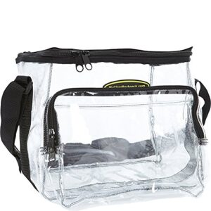 event bag – large clear stadium cooler