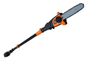 wen 40421 40v max lithium ion cordless pole saw, 10″