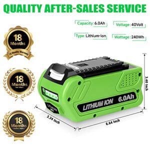 DSANKE 40V 6000mAh 29472 Lithium Battery Replacement for GreenWorks 40V Battery 29472 29462 Battery GreenWorks 40V G-MAX Power Tools 29252 20202 22262 25312 25322 20642 22272 27062 21242