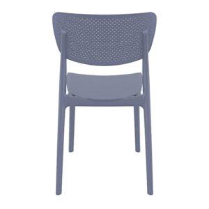 Compamia Lucy Dining Chair in Dark Gray Finish (Set of 2)