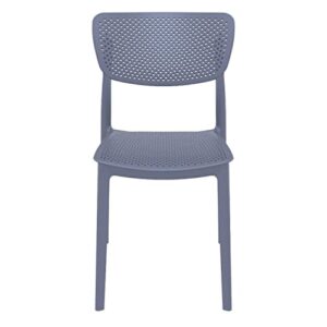 Compamia Lucy Dining Chair in Dark Gray Finish (Set of 2)