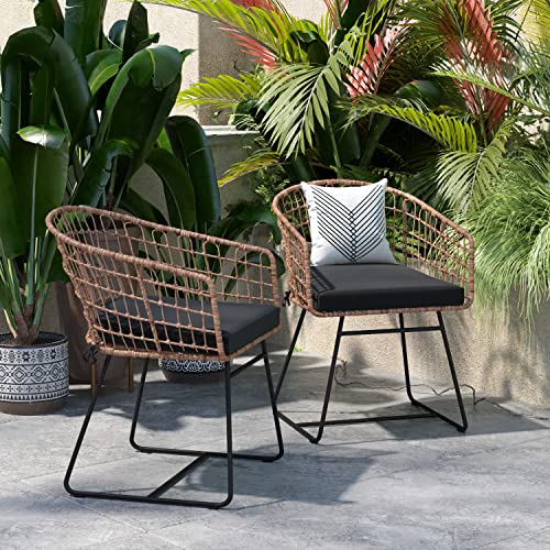 Flash Furniture Devon Set of 2 Indoor/Outdoor Patio Boho Club Chairs, Rope with PE Wicker Rattan, Cushions and Sled Base, Natural/Black