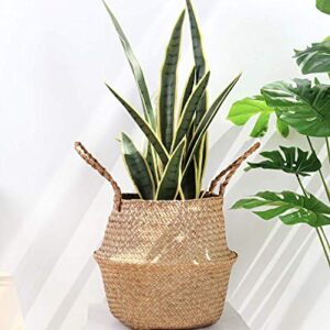 BlueMake 2Pack Woven Seagrass Belly Basket for Storage Plant Pot Basket,Laundry, Picnic Basket (Medium+Large)