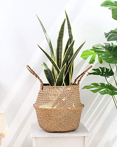 BlueMake 2Pack Woven Seagrass Belly Basket for Storage Plant Pot Basket,Laundry, Picnic Basket (Medium+Large)