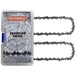 Opuladuo 10 Inch Pole Saw Chain for Harbor Freight Atlas 56934, 10" Polesaw Chain for Makita EY401MP EY2650H25H, Chainsaw Chain for Poulan PLN1510 and Echo Models - 3/8" - .050" - 39 Drive Links