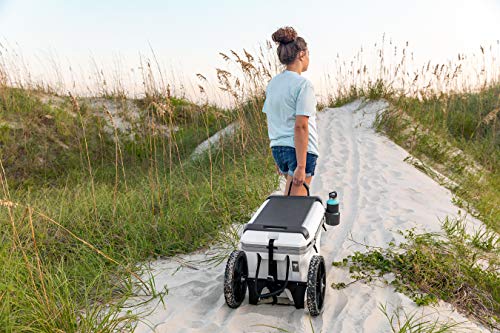 Camco Heavy-Duty Cooler Cart Kit, Includes Durable Straps and 12-Inch Wheels, White (51798)