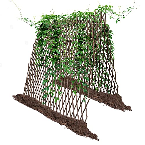 86 York Expandable Willow Lattice Fence Panel for Climbing Plants Vine Ivy Rose Cucumbers Clematis (1)