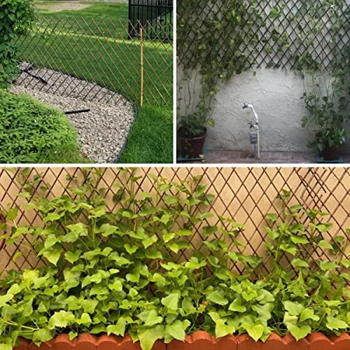 86 York Expandable Willow Lattice Fence Panel for Climbing Plants Vine Ivy Rose Cucumbers Clematis (1)