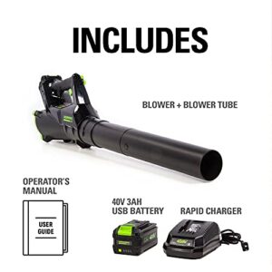 Greenworks 40V (110 MPH / 390 CFM) Cordless Axial Blower, 3.0Ah Battery and Charger Included LB-390