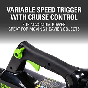 Greenworks 40V (110 MPH / 390 CFM) Cordless Axial Blower, 3.0Ah Battery and Charger Included LB-390