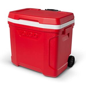 igloo red profile ii 60 roller