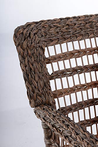 W Unlimited Modern Concept Faux Sea Grass Resin Rattan Patio Chair, Dark Brown