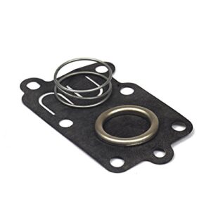 briggs & stratton diaphragm kit 5021k