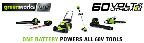 GreenWorks Pro 60-Volt Max 2.5-Amp Hours Rechargeable Lithium Ion (Li-ion) Cordless Power Equipment Battery