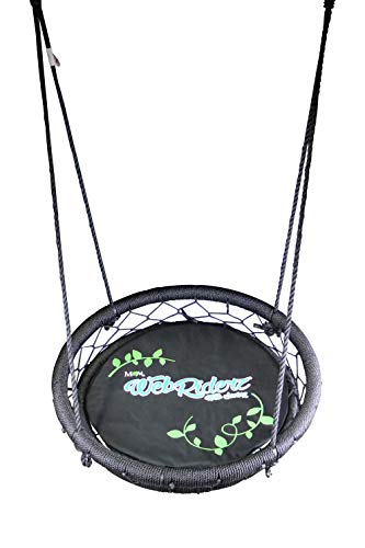 M&M Sales Enterprises Web Riderz Basket Swing