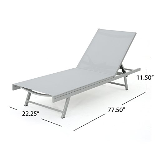 GDFStudio Allen Outdoor Gry Mesh Chaise Lounge with Aluminum Frame (Set of 2)