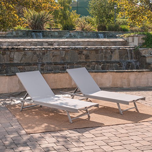 GDFStudio Allen Outdoor Gry Mesh Chaise Lounge with Aluminum Frame (Set of 2)