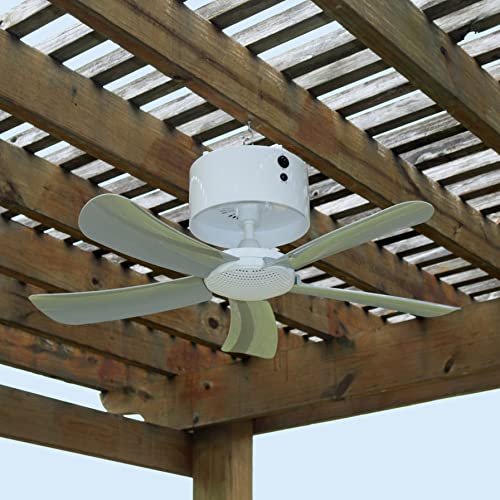 Canopy Breeze Canopy Fan Portable, Rechargeable Ceiling Fan for Canopies, Gazebos, Pergolas + more! 6-Hour Run Time, 31” Diameter Blades, Easy Install w/out Tools, Remote Control, Travel Case included