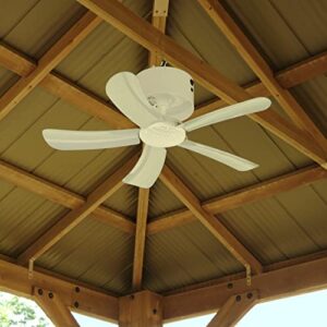 Canopy Breeze Canopy Fan Portable, Rechargeable Ceiling Fan for Canopies, Gazebos, Pergolas + more! 6-Hour Run Time, 31” Diameter Blades, Easy Install w/out Tools, Remote Control, Travel Case included