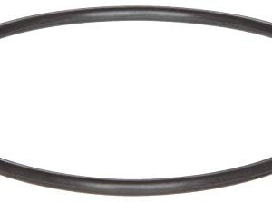 Beaver Island Parts Co. fits STA-RITE 14971-SM20E7 2” Cover O-Ring