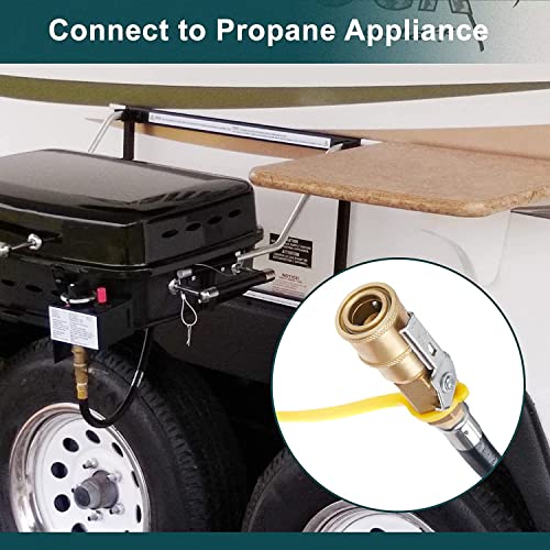 GASPRO 20 Feet Propane Quick Connect Hose, and 1/4 Inch RV Propane Quick Connect Fittings, Connect Propane Grill to Camper, Trailer and RV, Low Pressure