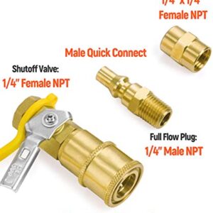 GASPRO 20 Feet Propane Quick Connect Hose, and 1/4 Inch RV Propane Quick Connect Fittings, Connect Propane Grill to Camper, Trailer and RV, Low Pressure