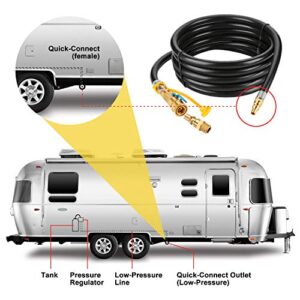 WADEO 12 Feet Low Pressure Propane Quick Connect Hose, RV Quick Connect Propane Hose Extension with 1/4 inch Safety Shutoff Valve & Male Full Flow Plug for RV