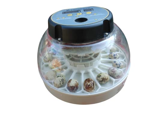 Coturnix Quail Turner Tray Compatible with The Kebonnix Incubator