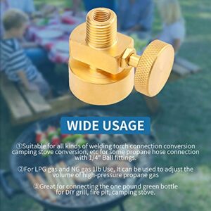 1LB Brass Propane Needle Control Valve, Disposable Adjustable Pressure Propane Gas Regulator Valve with 1/4’’ NPT Male Thread (Tapped M8 Female), Propane 1LB Tank Disposal Cylinder Bottle Adapter