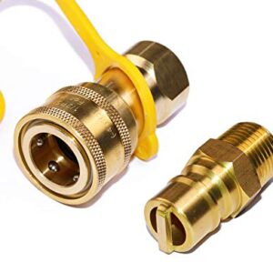 DOZYANT 1/2" QDD LP Gas Quick Connect Disconnect Connector & Male Insert Plug Solid Brass 1/2 PSIG Pressure Input 1/2 Ins & 1/2" Male NPT x 1/2 inch Natural Gas Propane Fitting Connector