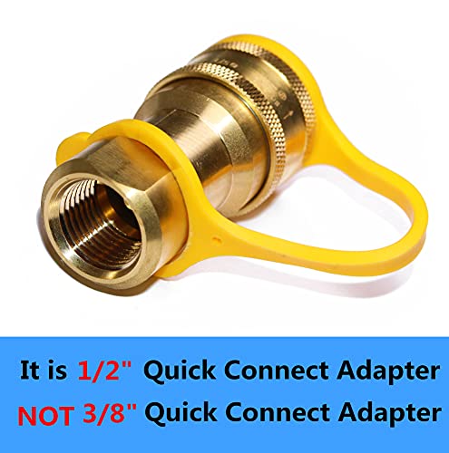 DOZYANT 1/2" QDD LP Gas Quick Connect Disconnect Connector & Male Insert Plug Solid Brass 1/2 PSIG Pressure Input 1/2 Ins & 1/2" Male NPT x 1/2 inch Natural Gas Propane Fitting Connector