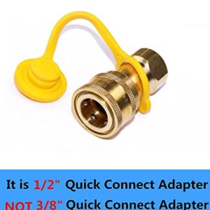 DOZYANT 1/2" QDD LP Gas Quick Connect Disconnect Connector & Male Insert Plug Solid Brass 1/2 PSIG Pressure Input 1/2 Ins & 1/2" Male NPT x 1/2 inch Natural Gas Propane Fitting Connector