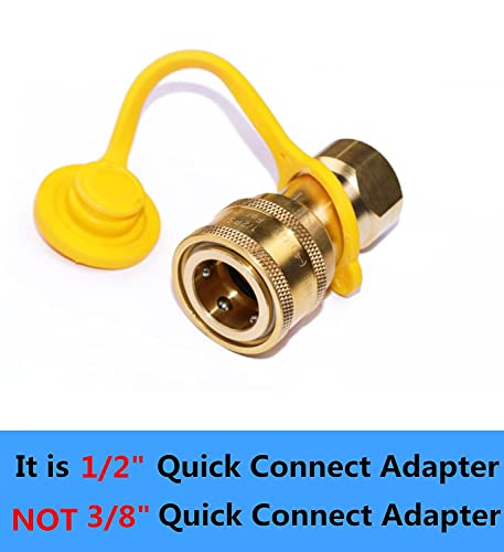 DOZYANT 1/2" QDD LP Gas Quick Connect Disconnect Connector & Male Insert Plug Solid Brass 1/2 PSIG Pressure Input 1/2 Ins & 1/2" Male NPT x 1/2 inch Natural Gas Propane Fitting Connector