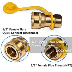 DOZYANT 1/2" QDD LP Gas Quick Connect Disconnect Connector & Male Insert Plug Solid Brass 1/2 PSIG Pressure Input 1/2 Ins & 1/2" Male NPT x 1/2 inch Natural Gas Propane Fitting Connector