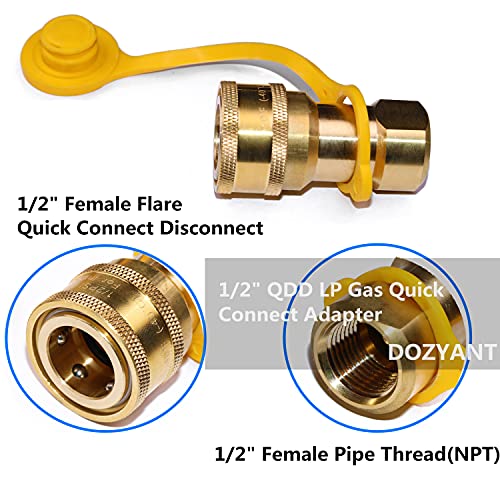 DOZYANT 1/2" QDD LP Gas Quick Connect Disconnect Connector & Male Insert Plug Solid Brass 1/2 PSIG Pressure Input 1/2 Ins & 1/2" Male NPT x 1/2 inch Natural Gas Propane Fitting Connector