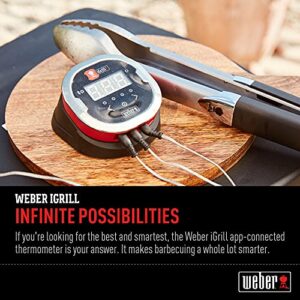 Weber iGrill 2 Thermometer