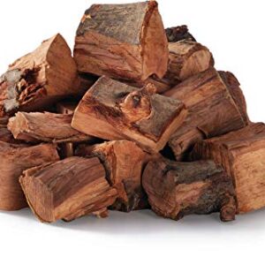 Napoleon 67028 Apple Wood Chunks Smoker Chips, Multi