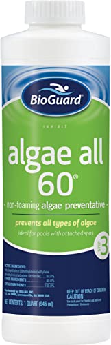 BioGuard Algae All 60 Swimming Pool Algaecide 2 Pack with LeisureQuip ScumBoat Scum Absorber and LeisureQuip Pool Log Book