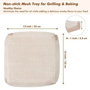 Kamehame Grill Mesh Basket, Pack of 4 Non-Stick Meat Vegetable Grill Tray for Grilling and Baking, Oven Crisper Basket for Crisp up Pizza, Fries, Chips