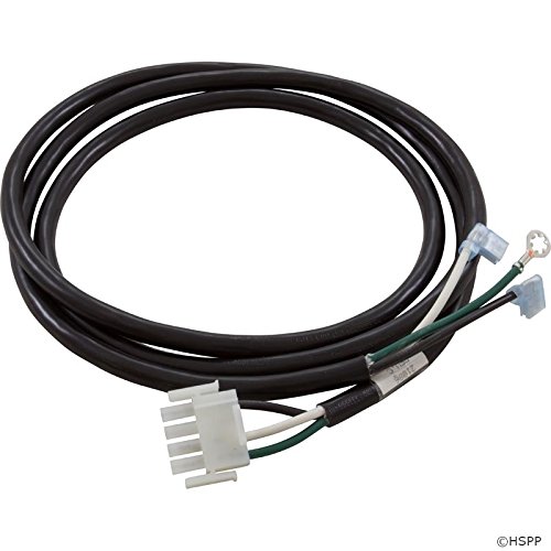 Balboa Water Group 21086 AMP Cord For 1 Speed Pump