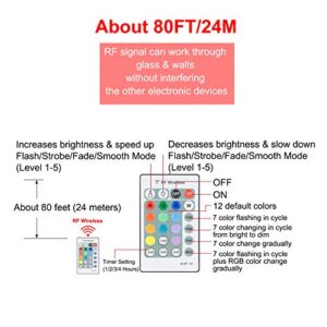 80 Feet Remote Control with Timer, Through Wall Function, 12 Color Change, 4 Modes & Dimmable for LUXSWAY RF Products