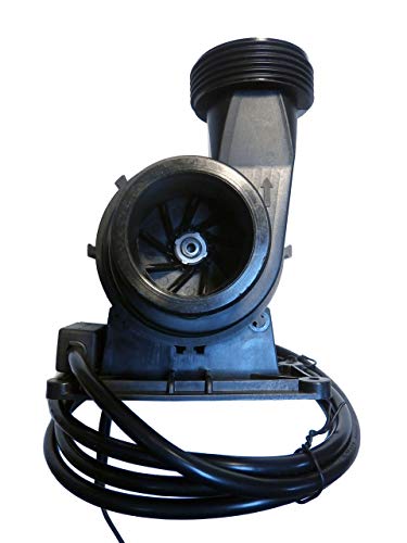 Laing E14 1-1/2-Inch Buttress Thread Circulation Spa Pump, 230-Volt