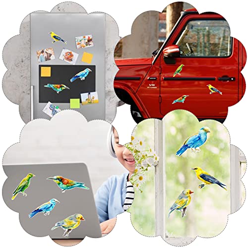 12 Pcs Hummingbird Magnets, Decorative Double Sided Magnetic Sticker Flexible Screen Door Protector for Window Screen Sliding Doors