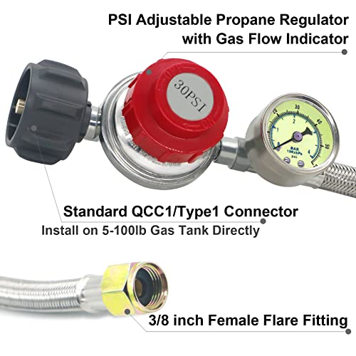 NQN Upgraded 12 FT 0-30 PSI High Pressure Adjustable Propane Regulator with Gauge 0~60PSI Gas Flow Indicator, QCC1 x 3/8" Female Flare Fitting with 3/8 Flare x 1/8 MNPT, Stainless Braided Propane Hose