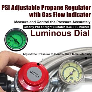 NQN Upgraded 12 FT 0-30 PSI High Pressure Adjustable Propane Regulator with Gauge 0~60PSI Gas Flow Indicator, QCC1 x 3/8" Female Flare Fitting with 3/8 Flare x 1/8 MNPT, Stainless Braided Propane Hose