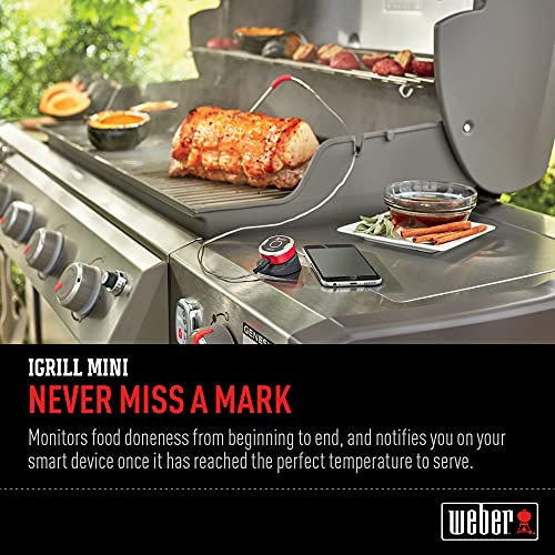 Weber iGrill Mini