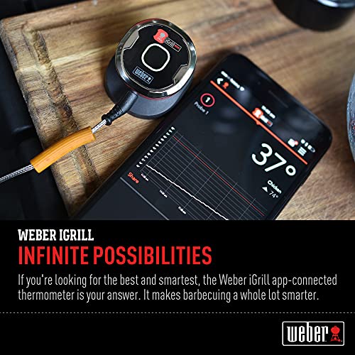 Weber iGrill Mini