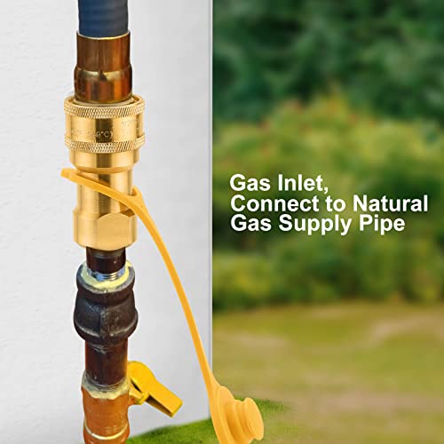 WADEO 1/2" QDD LP Gas Quick Connect Fittings with Male Insert Plug, Natural Gas Propane Quick Disconnect Kit, 100% Solid Brass