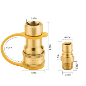 WADEO 1/2" QDD LP Gas Quick Connect Fittings with Male Insert Plug, Natural Gas Propane Quick Disconnect Kit, 100% Solid Brass